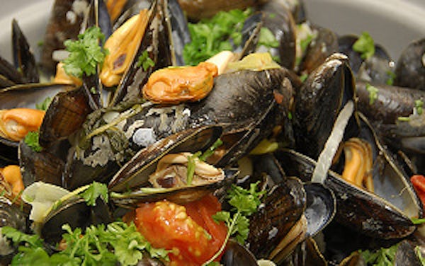 Zorgen op mosseldag Yerseke