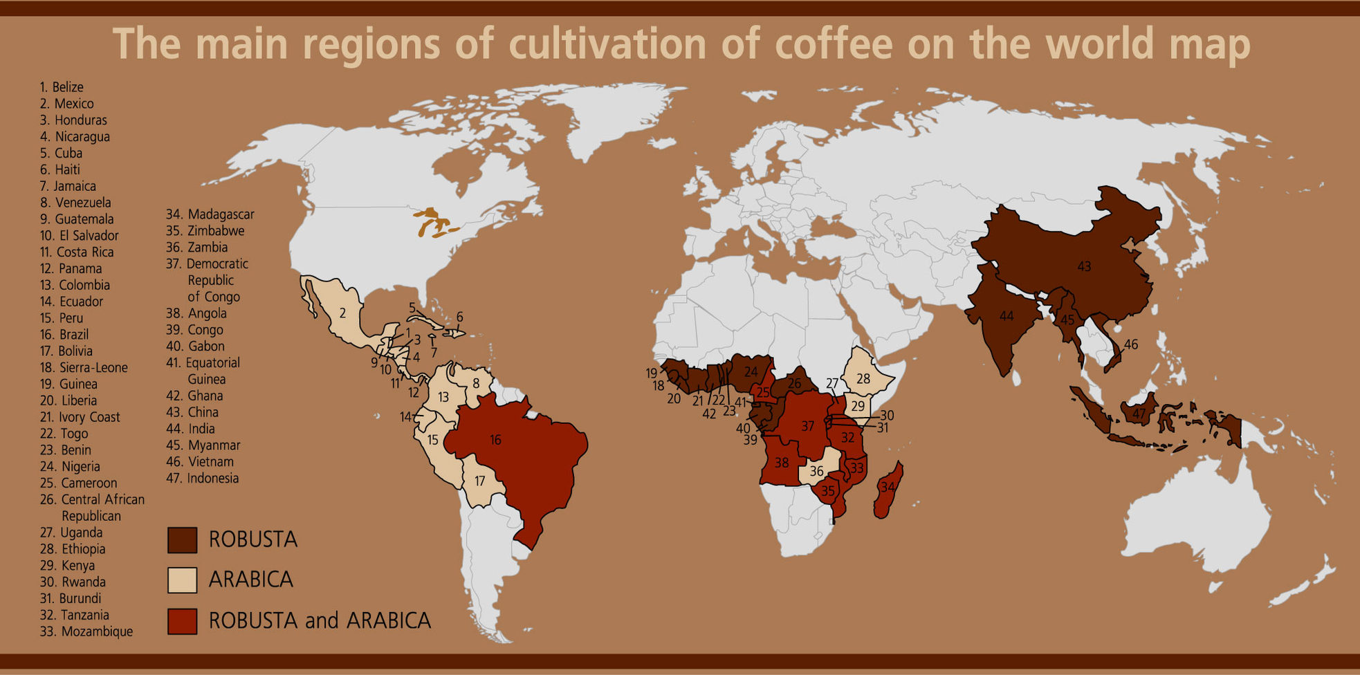Waar komt koffie vandaan en wat is het eigenlijk?