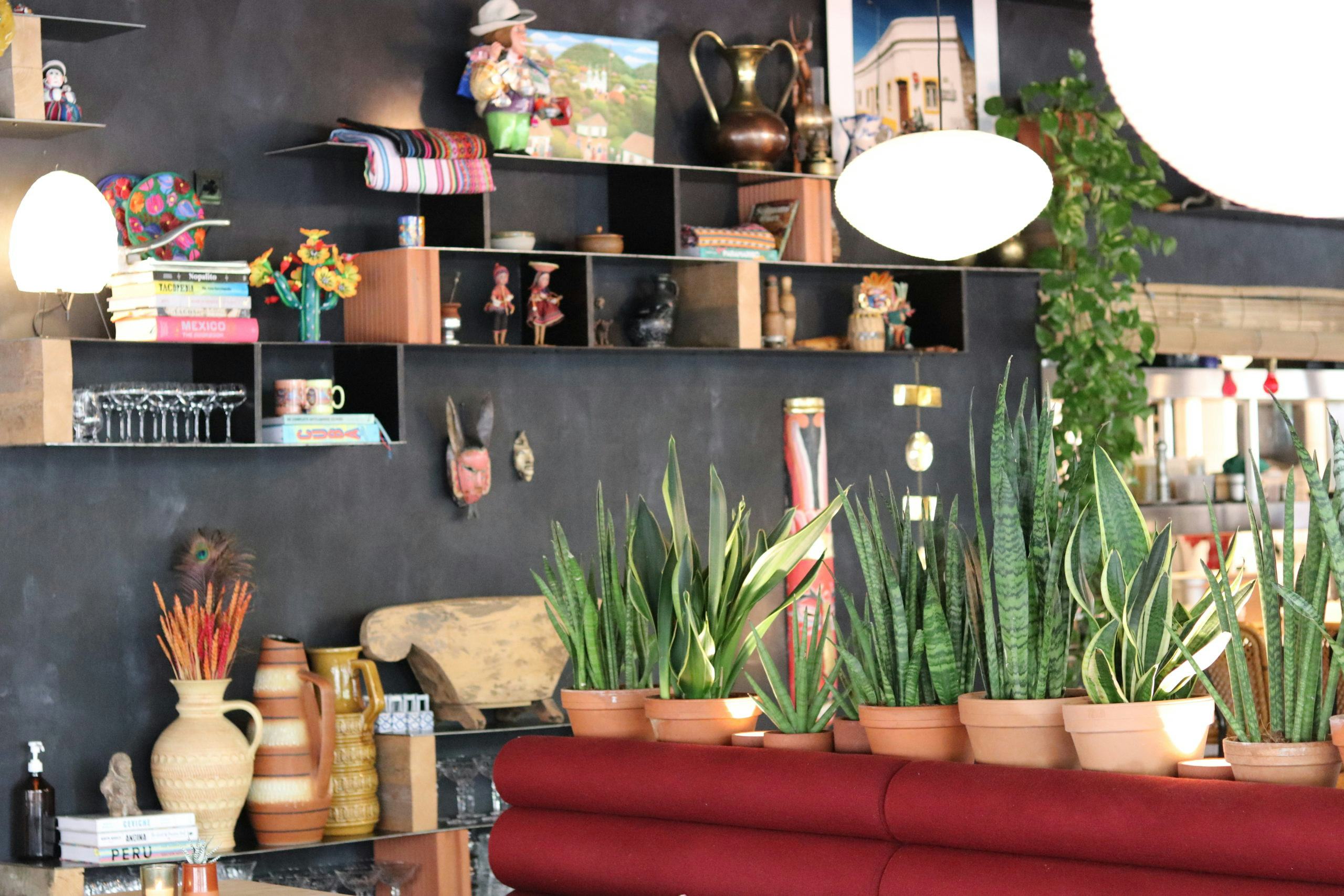 Hanno Groots café in Delft: het geheim van een uniek concept is lef